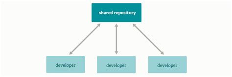 How To Use Git For Wordpress Development Wpmu Dev