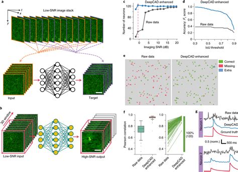 general principle and validation of deepcad a self supervised training