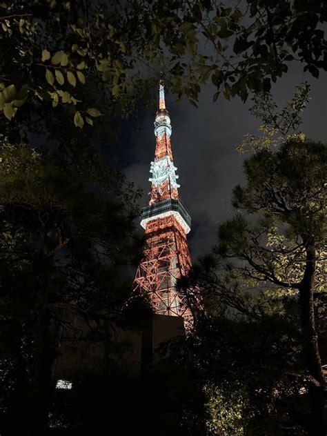 [도쿄] 2일차 해리포터 스튜디오 롯폰기 오코노미야키 맛집 하테나 도쿄타워 시바공원 네이버 블로그