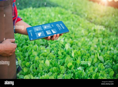 Iot Internet Of Things Modern Agriculture Smart Farming System Concept
