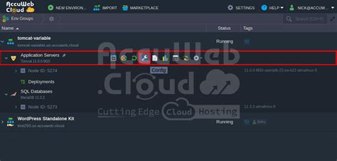 Custom Java Environment Variable Tomcat Tomee Jetty