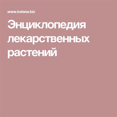Энциклопедия лекарственных растений Лекарственные растения Растения Трава