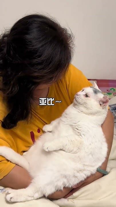 亚比～囧囧囧 爱妃：还是学不会老妈：再聪明一点～亚比囧囧囧 萌宠 亚比萌宠囧囧囧 Youtube