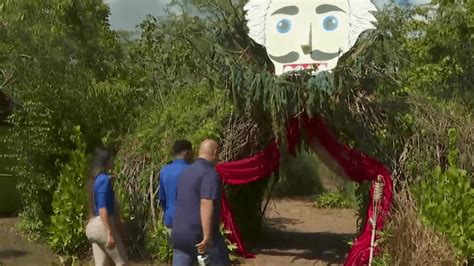 Parque Reino Aventura Nueva Atracción En Lajas Para Toda La Familia
