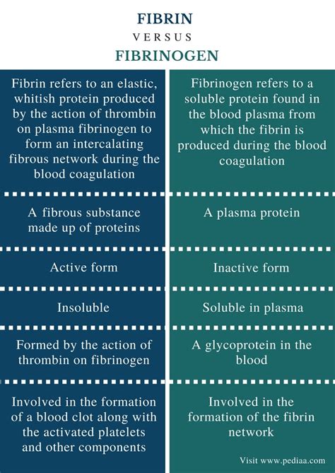 Difference Between Fibrin And Fibrinogen Definition Formation