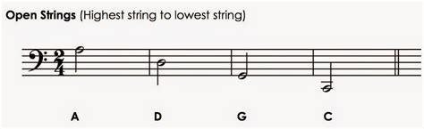 Suzuki Cello Babe Of Austin February 2015