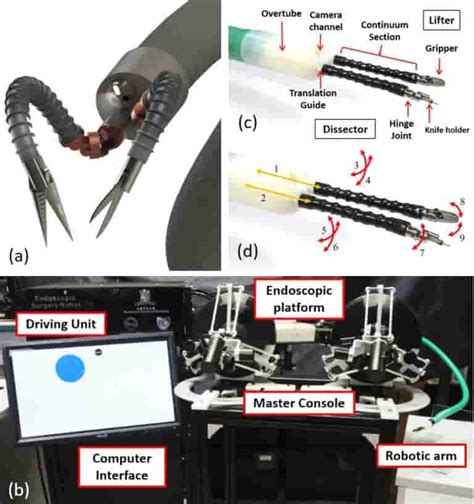 closed loop configuration space control and friction modeling of tendon driven continuum