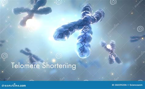 Illustration Dna Molecules With Antiparallel Structure Stock