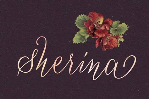 41 Fancy Cursive Fountain Pen Fonts Envato Tuts