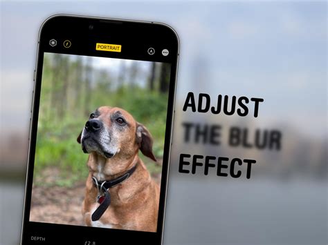 Iphone Photo Blur How To Adjust Portrait Mode Background Blur Cult Of Mac