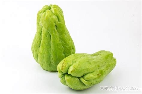 佛手瓜的功效与作用 知乎