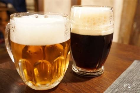 코젤 맥주 오래간만에 마시니 맛있네 국산맥주는 거들뿐 네이버 블로그