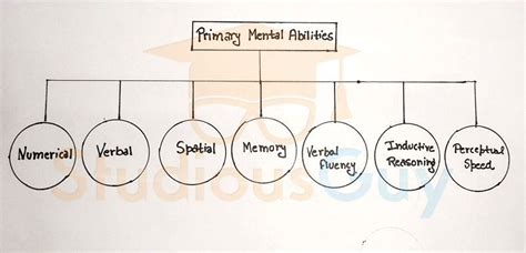 Thurstones Multiple Factor Theory Pma Explained Studiousguy Thurstones Multiple Factor Theory Pma Explained Studiousguy