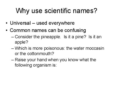 Biological Classification Why Is It Important We Use