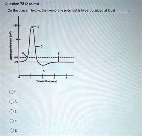Solved Question 78 2 Points On The Diagram Below The Membrane Potential Is Hyperpolarized At