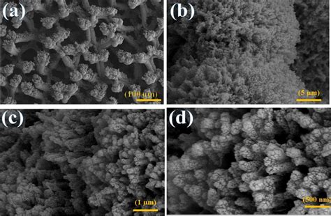 Figure 3 From Hierarchically Nanocoral Reefs Like Znco2s4 Deposited On