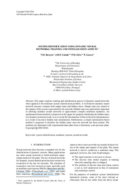 pdf system identification using dynamic neural networks training and initialization aspects