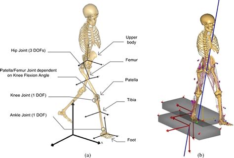 Lower Body Kinematics Evaluation Based On A Multidirectional Four Dimensional Structured Light