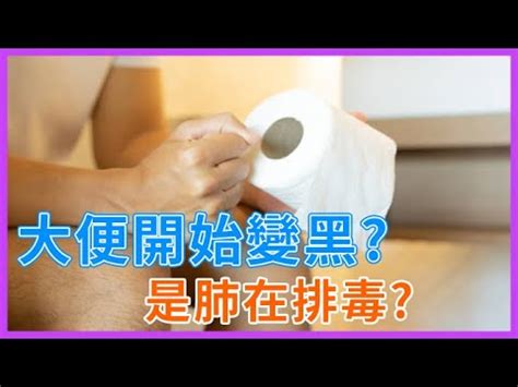 吃了動物血後大便發黑是肺在排毒還是健康警訊揭開真相 YouTube