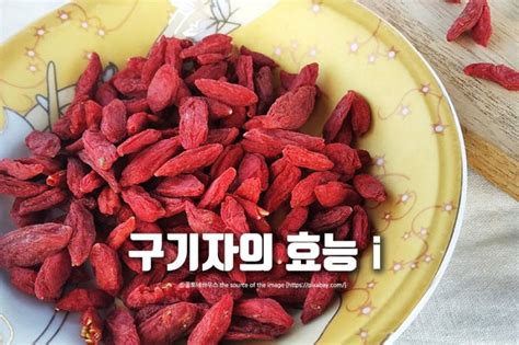 구기자의효능과 먹는법[구기자차 건구기자 분말 등] 네이버 블로그