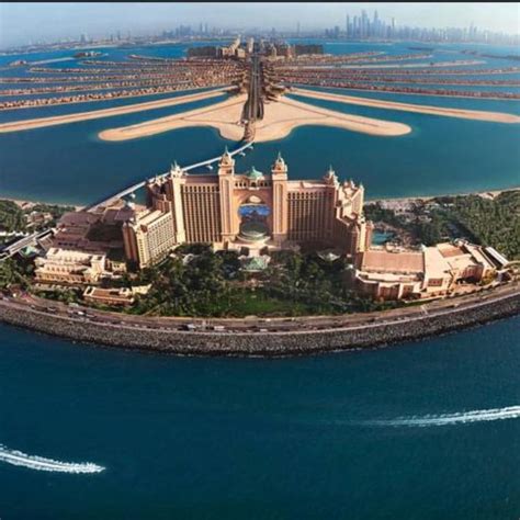 Morphing Gradient Blob Html Css Html Css Javascript Website Websitedesign