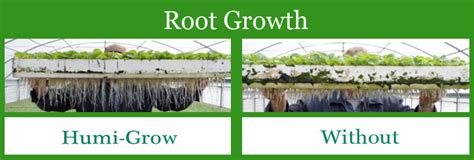 Why We Go For Humic Acid Application In Soil Or Plant