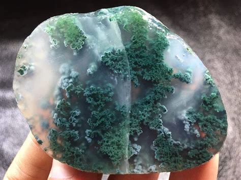 Moss Agate Formation Occurrence Uses Geology In