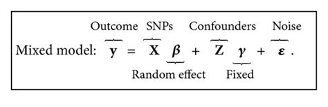 Diagram B Showing The Relation Between Estimation Of Snp Effects Download Scientific Diagram