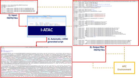 I Atac Sample Data Input Script Generation And Outcome The Figure Download Scientific Diagram
