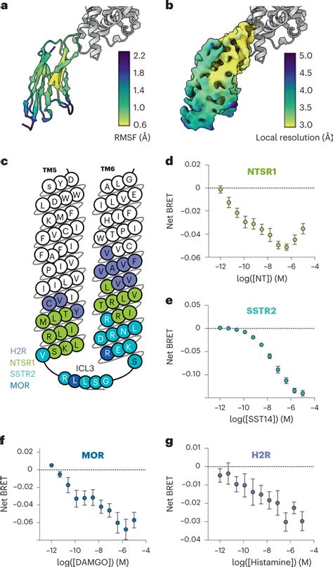 Construct Design And Evaluation For Inactive State Gpcr Structure Download Scientific Diagram