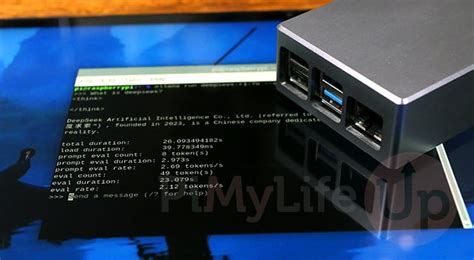 running deepseek on a raspberry pi pi my life up