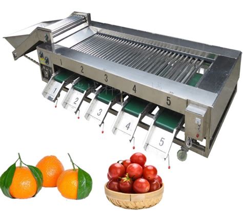 fruits vegetables grading sorting machine with rolling bars for dates fruit