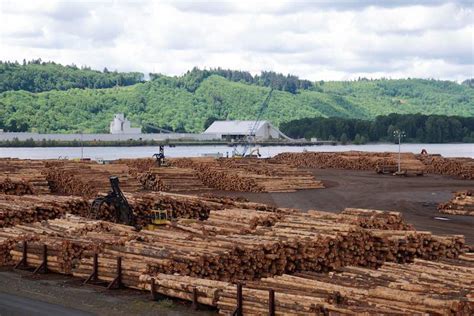 Beats 100 Beta4 Lightweight Log Forwarding With Filebeat Elastic Blog