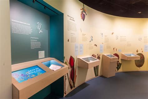 Exposition Itinérante Sex Appeal La Scandaleuse Vie De La Nature