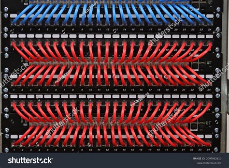Connecting Ethernet Switches Patch Panels Using Stock Photo Shutterstock