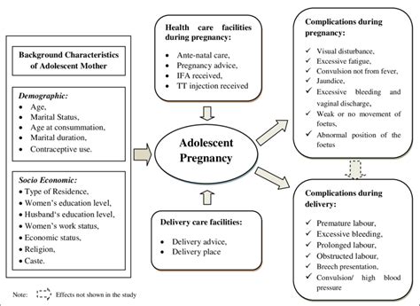 Conceptual Framework Download Scientific Diagram Conceptual Framework Download Scientific Diagram