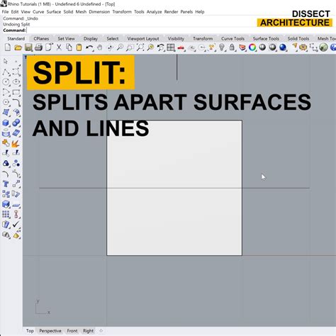 Rhino Commands Index Dissect Architecture