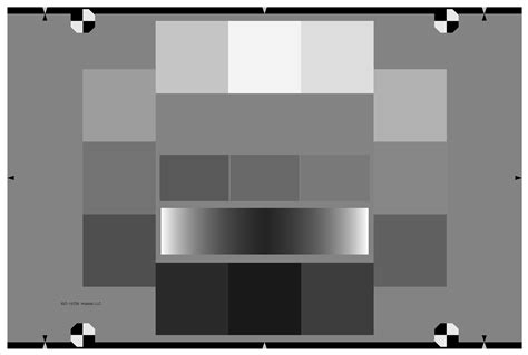 10 Step Grayscale Chart