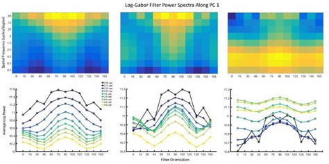 Fourier Filter Power Analysis Of The Stimuli Used In Experiment 1