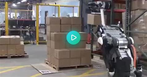 Wierd Ostriches Stack Boxes Album On Imgur