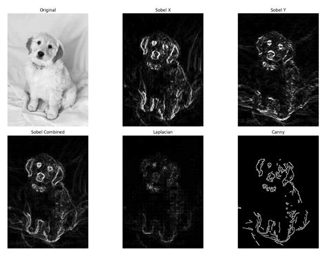 Image Processing With Opencv 7 Helpful Techniques