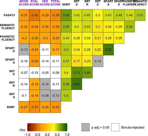 Correlations Between Cognitive Variables And Cmdi Scores The Figure