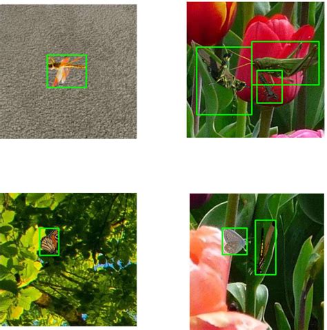 Figure 1 From Integrated Deep Learning Framework For Insect Detection And Classification In