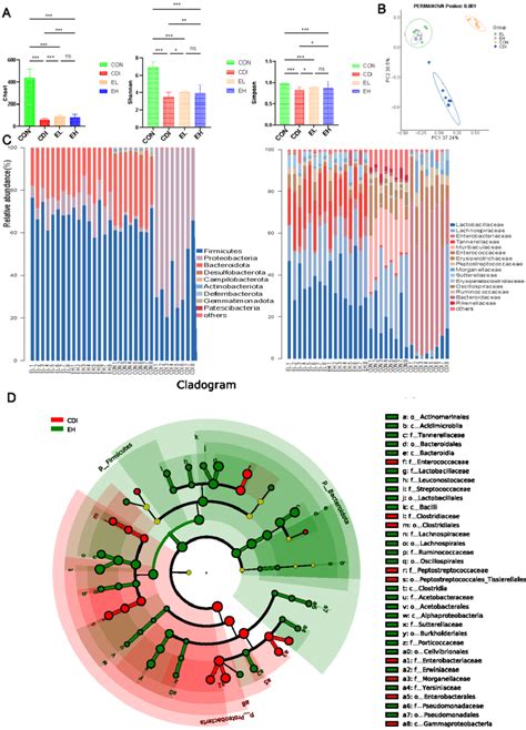 Modulation Of The Intestinal Flora In C Difficile Infected Mice By Download Scientific Diagram