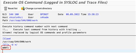 The Practical Exploitation Of SAP Vulnerability CVE