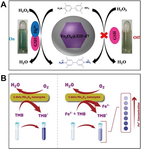 A Colorimetric Detection Of Hg²⁺ Using Fe3o4 Zif 67 To Catalyze The Download Scientific