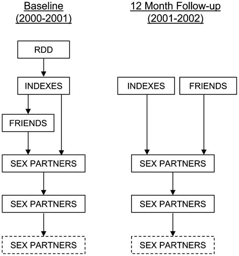 Sexual Network Position And Risk Of Sexually Transmitted Infections Sexually Transmitted