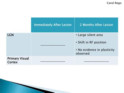 ppt receptive field dynamics in adult primary visual cortex