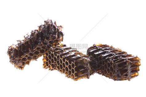 蜂蜜中的蜂蜜细胞六边形蜂巢棕色蜂窝食物麻疹多边形饮食生产高清图片下载 正版图片320283769 摄图网