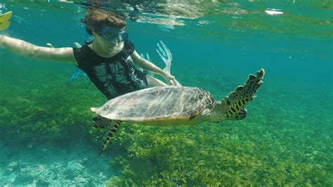 Snorkelling In The Seychelles Youtube